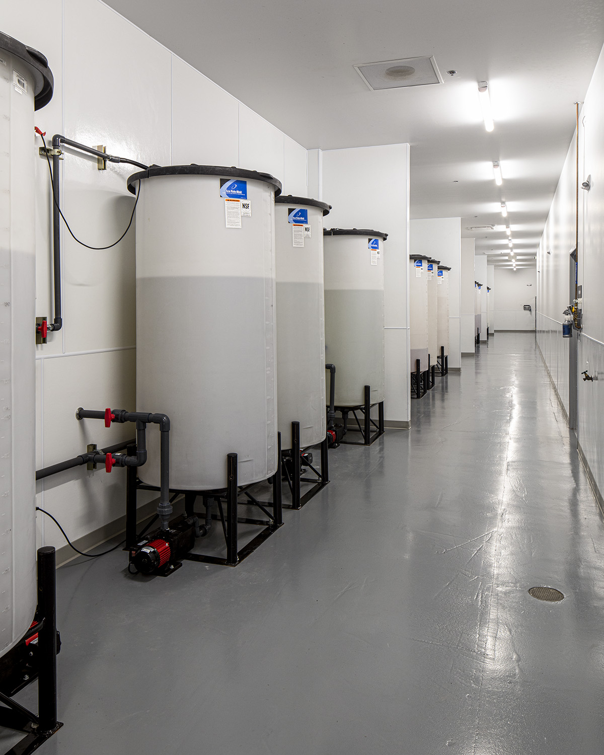 Oregon Cannabis Cultivation | M A N I F O L D Design and Development