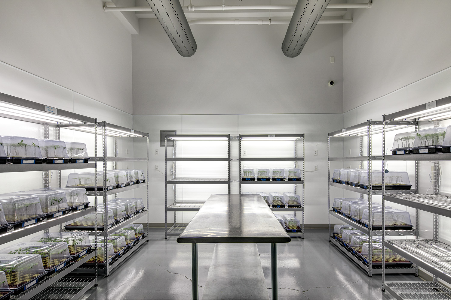 Oregon Cannabis Cultivation | M A N I F O L D Design and Development